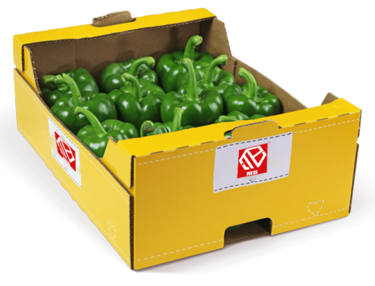 MB ALGERIAN PACKAGING – Fabrication et transformation du carton ondulé